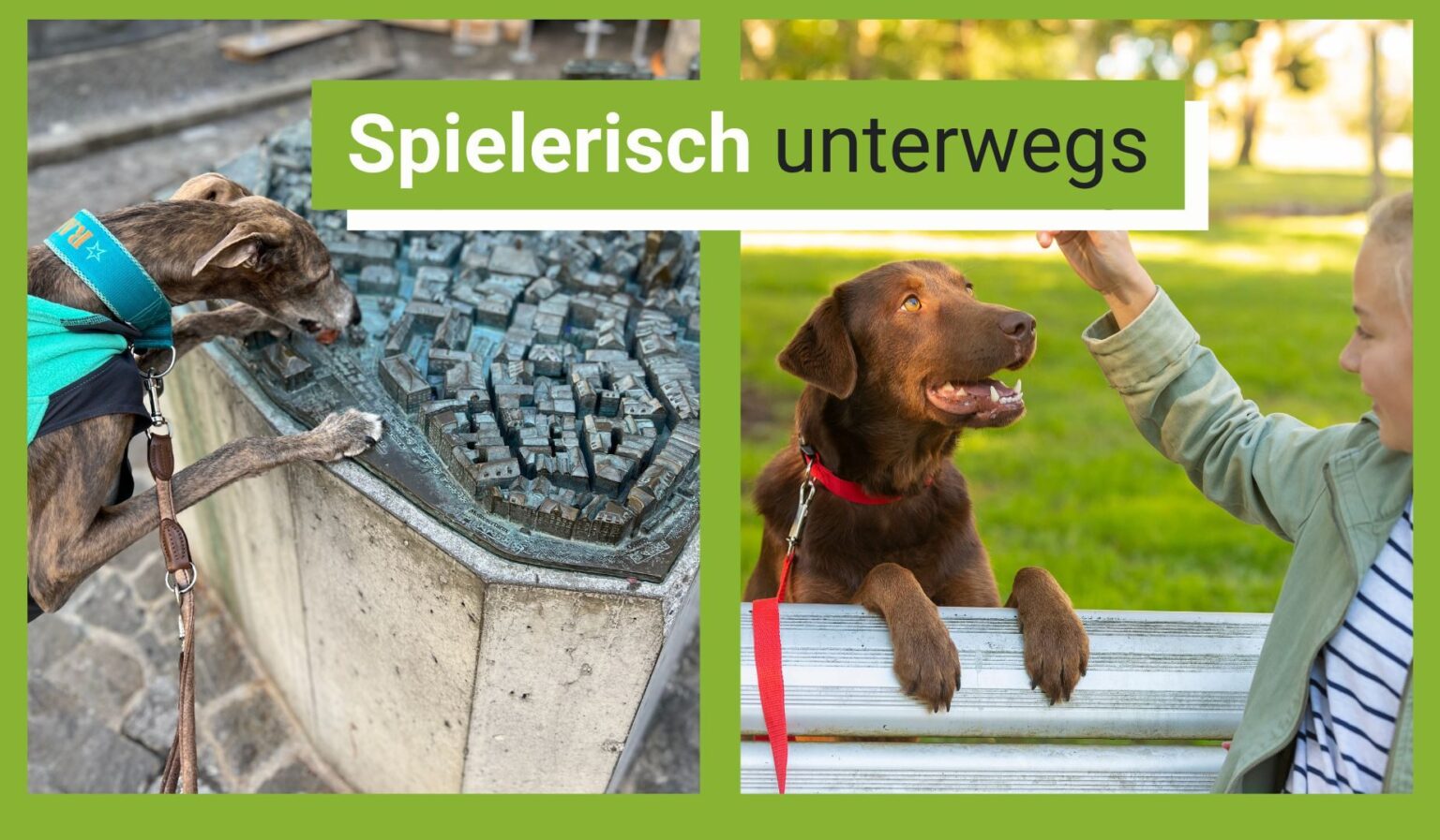 Städtereisen mit Hund - Tipps & Trainingsimpulse